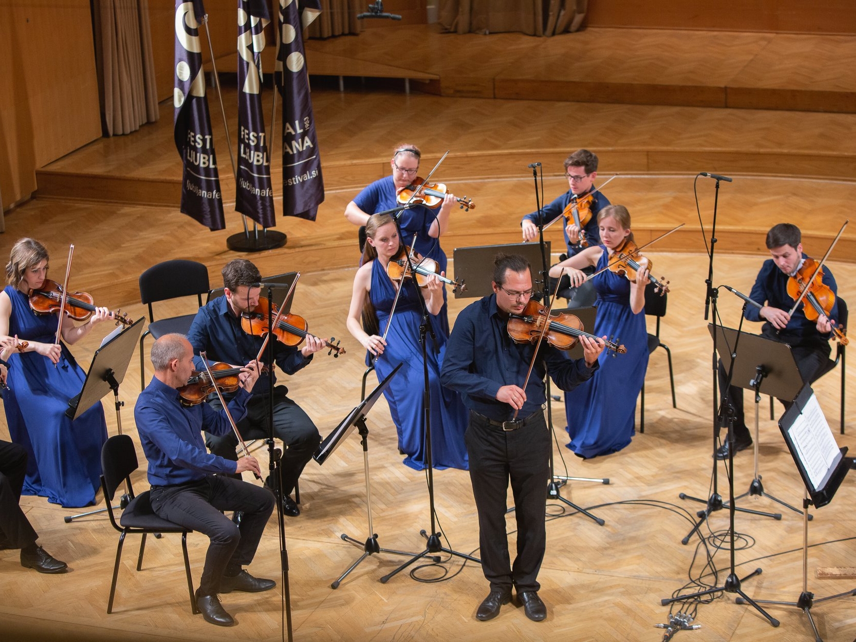 Anima Musicae Chamber Orchestra | Cadenza Arts Management
